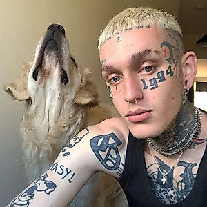 MEQNOIG Horseshoe Septum Nose Ring Fake Nose Ring Hoop Nose Cuff Non Piercing (Silver)