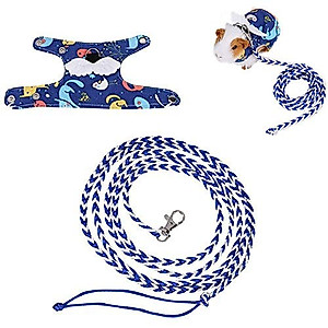 Yosoo Squirrel Harness, Adjustable Cute Angle Wings Comfort Harness Vest Clothes with Leash Hamster Gerbil Rat Mouse Ferret Chinchilla Small Animal Walking Toy (Light Blue)