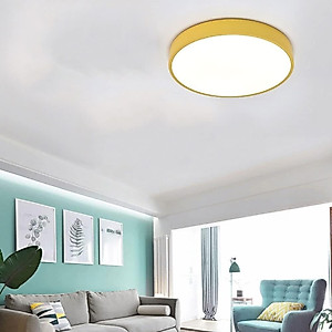 LONGDU European Brief Style LED Flush Mount Ceiling Lamp, Round Ceiling Light,Creative Personality Ceiling Light Fixture,for Bedroom Office Stairs Hotel Living Room Kitchen Hallway (Color : Gold, Si