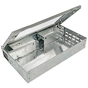 iTrap iTrap-002-S4-3PK Multi-Catch Clear Top Humane Repeater Mouse Trap, Set of 3