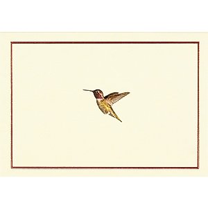 Hummingbird Flight Note Cards (Stationery, Boxed Cards)