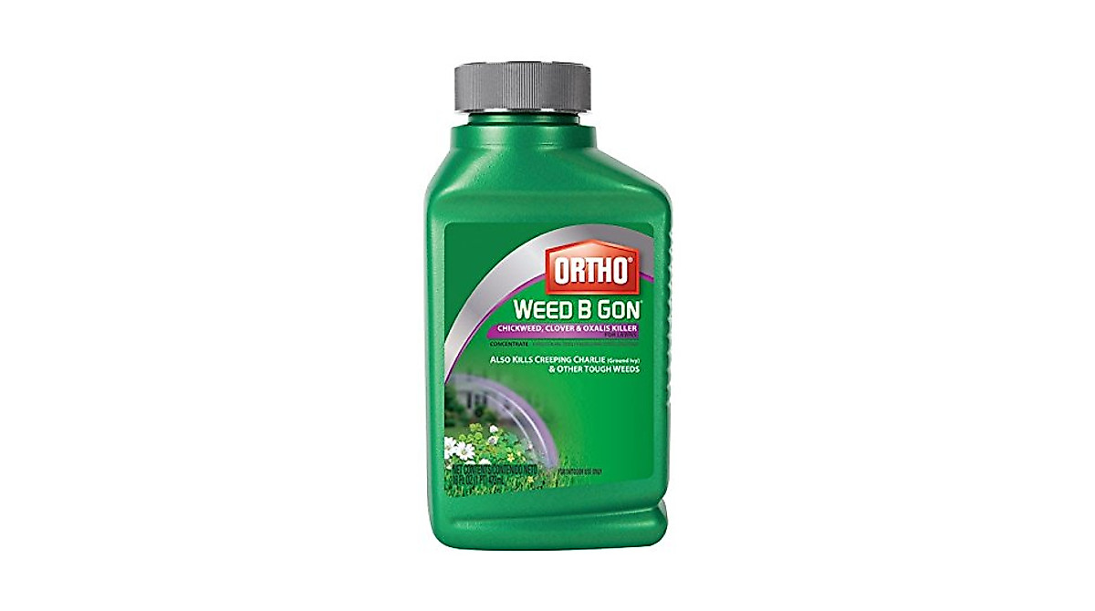 Ortho Weed Killer for Lawns - Kills Creeping Charlie & Wild Violet