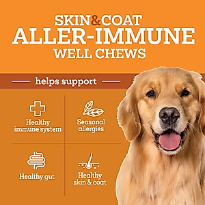 Vetality Well Chews | Soft Chew Supplements for Dogs | 60 Count | Made in USA (Skin + Coat)