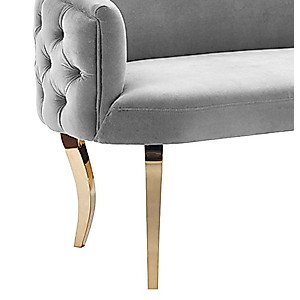 Tov Furniture The Adina Collection Contemporary Living Room Velvet Upholstered Loveseat, Grey with Gold Legs