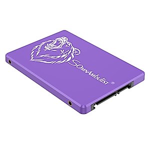 Somnambulist SSD SATAIII Hard Drive 2.5 SSD 120GB 480GB 512GB Hard Drive Internal Solid State Drive (Purple Bear Head 60GB)