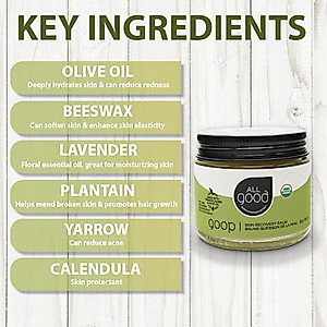 All Good Goop Organic Skin Care Recovery Balm - All Purpose Ointment w/Calendula, Lavender, Beeswax - Chafing Cream, Dry Skin Salve, Cracking Lip Moisturizer - Soothes, Hydrates & Calms - 2oz