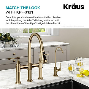 KRAUS Allyn 100% Lead-Free Kitchen Water Filter Faucet in Brushed Gold, FF-102BG