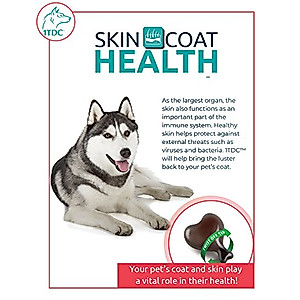 WorksSoWell 1TDC Dual Action Natural Support – 120 Twist Off Soft Gels | Delivers 4 Health Benefits for Dogs & Cats | Supports Oral, Hip & Joint Health, Muscle & Stamina Recovery, Skin & Coat Health