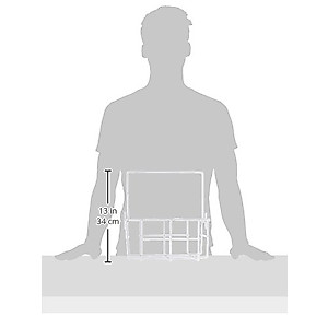 Champion Sports WBC Coated Wire Water Bottle Carrier