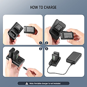 NEEWER DMW-BLK22 Replacement Battery and Charger Set, 2 Pack 2400mAh Batteries and Type C Dual Channel USB Charger, Compatible with Panasonic Lumix DC-S5 DC-S5 II DC-S5 IIX GH5 II GH6 S5II S5M2 GH5M2