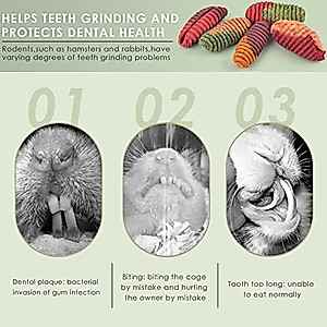 ERKOON Chinchilla Treats, Chew Toys for Teeth for Rabbit Guinea Pig Gerbil Rat Dwarf Hamster (Treats)