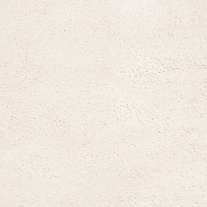 SAFAVIEH August Shag Collection Area Rug - 8' x 10', Ivory, Solid Design, Non-Shedding & Easy Care, 1.2-inch Thick Ideal for High Traffic Areas in Living Room, Bedroom (AUG900C)
