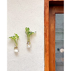 Ivolador 4PCS Wall Hanging Glass Plant Terrarium Container Cylinder Shape Perfect for Propagating Hydroponic Plants Home Office Garden Decor Wedding