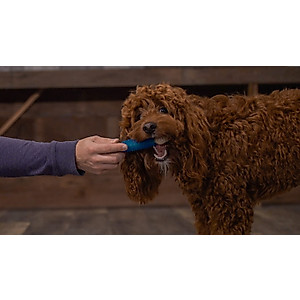 HERO | Bonetics Dental Bone | Dog Bones | Puppy Bones | Designed for Medium Dogs Up to 45 lbs (Mint Flavor)