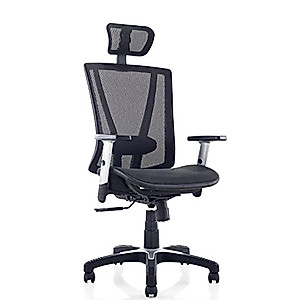 Ergomax MSH112BK Ergonomic Adjustable Home Office All Mesh Desk, Lumbar Support & Back Relief Breathable Chair, 53 inch Max Height, Black