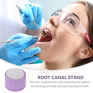 HEALLILY Dental Root Canal Stand Dental Teeth File Stand Holder Endo File Stand Root Canal File Stand Container（Random Color）