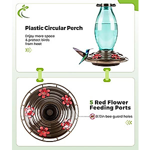 BOLITE 18001 Hummingbird Feeder, Glass Wild Hummingbird Feeders for Outdoors, Retro Edison Bulb Bottle, 25 Ounces, Green, Xmas Gifts for Bird Lovers