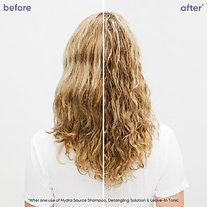 BIOLAGE Hydrasource Daily Leave-In Tonic For Dry Hair- Moisturizes, Renews Shine & Protects Hair From Environmental Damage, 13.5 Fl Oz