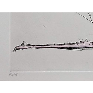 La Venus aux Fourrures The Winged Demon