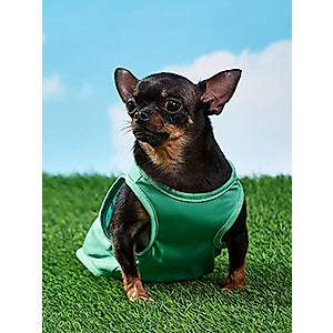 QWINEE Dog Tank Top Cute Letter Cat Shirt Breathable Casual Sports Vest for Small Medium Dogs Puppy Kitten Green XXS