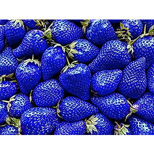 400+ Mix Strawberry Seeds for Planting - Heirloom Non-GMO Red Yellow Blue White Climbing Strawberry - Everbearing Fruit Plant Home Garden Sweet and Delicious