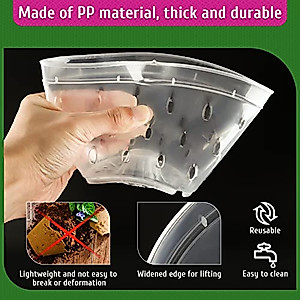 REMIAWY Orchid Pot, 8 Pack Orchid Pots with Holes and Saucers, 5.5 Inch Clear Orchid Pots for Repotting, Plastic Flower Plant Pot Indoor Outdoor, Breathable Slotted Orchids Planter