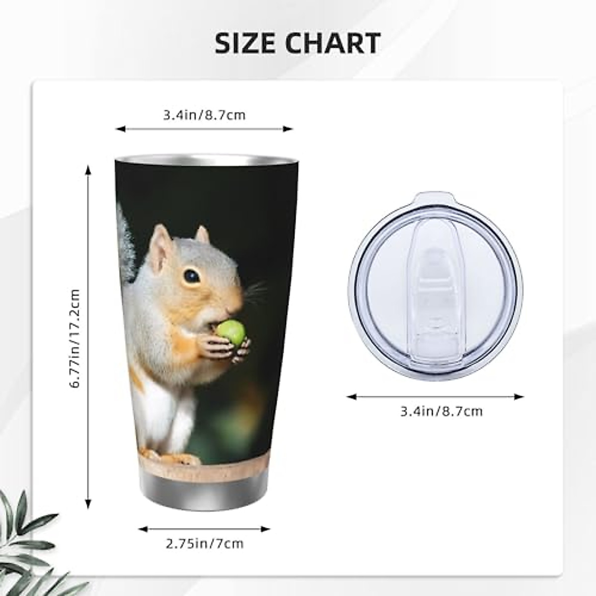 NHJKLWQSZ Cute Squirrel 20oz Stainless Steel Tumbler With Lid And Straw, Double Wall Vacuum Insulated Coffee Mug Travel Cups Leak-Proof Lid For Hot And Cold Drinks, Metal Straws And Brush