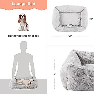 Best Friends by Sheri Soothe & Snooze Lounge Lux Memory Foam Rectangular Dog Bed, Washable, Grey, Medium 30" x 20"