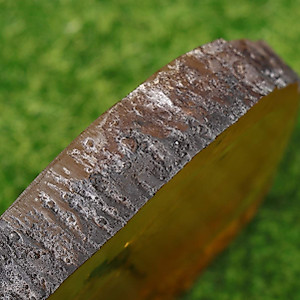 Amber,Artificial Amber Specimen Pendant Butterfly Scorpions Insects Amber Stone Ornament for Collection(Dragonfly)