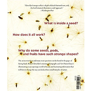 Seeing Seeds: A Journey into the World of Seedheads, Pods, and Fruit (Seeing Series)