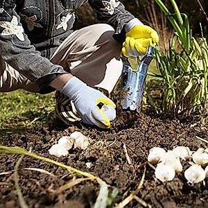 Jardineer Bulb Planter Tool - Long Handle Bulb Planter with Small Bulb Planter Set, Saw-Tooth Bulb Transplanter for Quick Dig. Durable Bulb and Garden Planter Steel Handle, Ideal Bulb Planting Tool