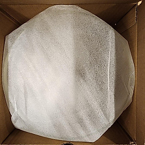 Labnique Borosilicate Glass Crystallizing Dish with Spout, Evaporation Dish (100mm), 300 ml Capacity