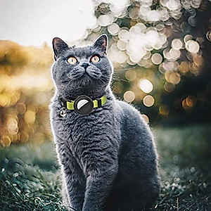 Air tag Cat Collar, Cat Collar with Bell and Safely Buckle for Small Pets, Adjustable Kitten Collar with Airtag Holder Compatible with Apple Airtag for Cats, Kittens, Puppies(Yellow)