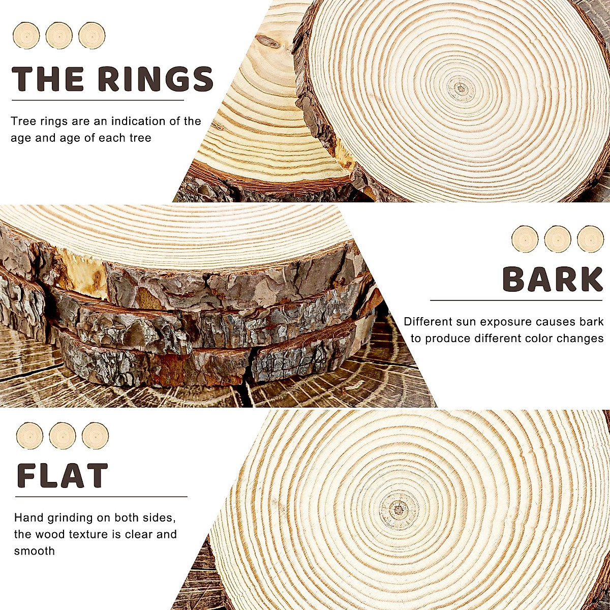 FSWCCK 6 Pack Nature Unfinished Round Wood Slices, 7-8 Inches Wooden Circle, Large Wood Slabs for Weddings Centerpieces Decor and DIY Painting Crafts