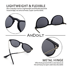 ANDOILT Vintage Polarized Sunglasses for Women Men UV Protection Retro Round Mirrored Lens Brown Gradient & Grey Lens