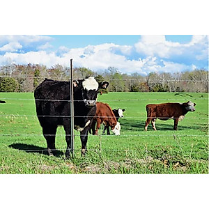 AgriOtter Electric Fence Energizer 20 Acre 2 in 1 Powered by Battery or AC Outlet 10000V 2J Pulse Electric