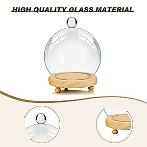 3 Pieces Cloche Glass Dome Glass Cloche Globe Display Dome 3 Sizes Glass Ball Shape Dome Cake Stand with Dome Clear Ball Display Pedestals with Dome Glass Dome Centerpiece for Candle Decor Plant Food