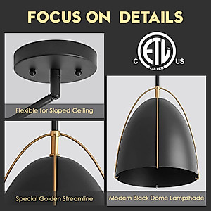 FookChak Black Dome Pendant Light 10in 1-Light Kitchen Pendant Lighting Egg-Shaped Black Gold Pendant Light Fixture for Kitchen Island, Dining Room,Kitchen Sink,Bar,10inԺåE26