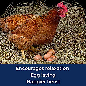 Pampered Chicken Mama Backyard Chicken Nesting Herbs for Great Eggs 10 oz - All-Natural Backyard Chicken Feed Supplies - Hen Treats for The Best Eggs Ever - High Calcium Supplement for Chickens