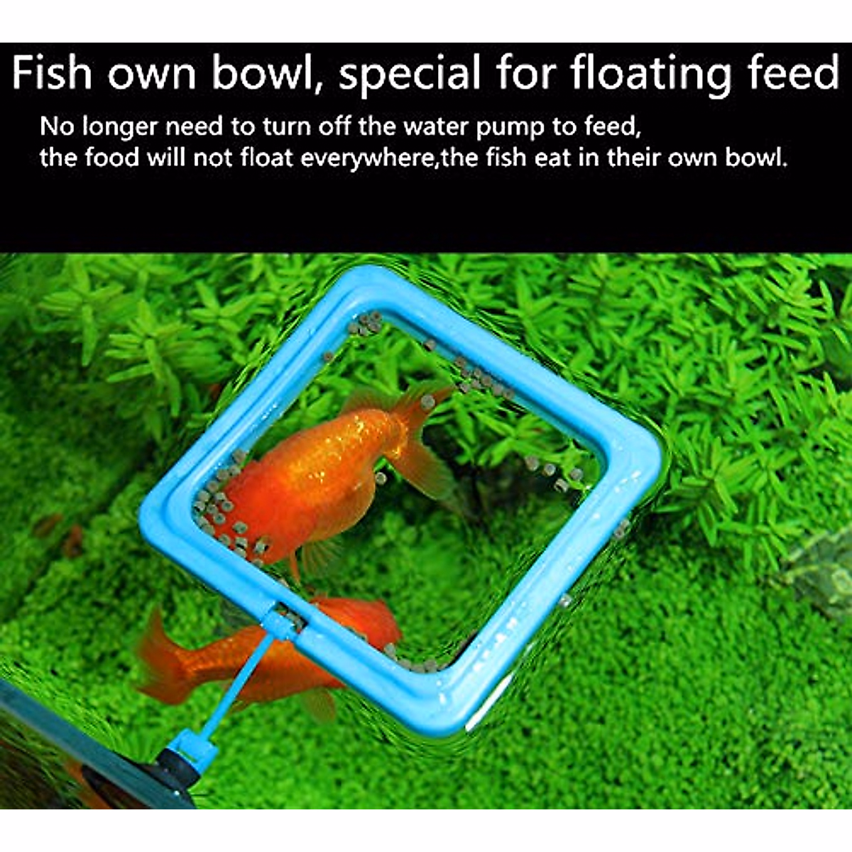 2 Pcs Fish Feeding Ring, Fish Safe Floating Food Feeder Circle Blue, with Suction Cup Easy to Install Aquarium, Square and Round Shape Fish Tank Towels - for Guppy, Betta, Goldfish, Etc. (Blue)¡­