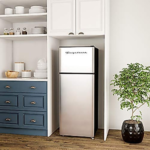 Frigidaire EFR749AMZ, 2 Door Apartment Size Refrigerator with Freezer, 7.5 cu ft, Retro, Silver, Platinum