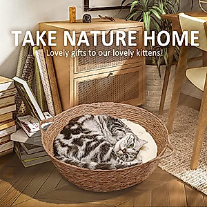 MewMewLand Natural Cat Wicker Bed Basket, Handmade Braided Cattail Leaf Kitten Bed with Soft Cushion Medium Oval