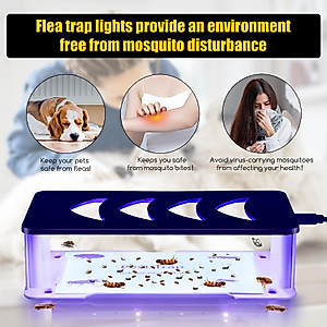 2 Pack Flea Traps for Inside Your Home, Flea Trap with Adjustable Light Modes & 4 Flying Insect Trap Sticky Refill Discs, Pest Trapper for Fleas, Flies, Mosquitoes