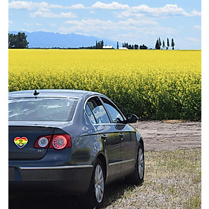 CHUBBYCHEEKS Baby on Board Magnet Sign for Car, Water Resistant, Weather Resistant with UV Protected Film (Rainbow Love)