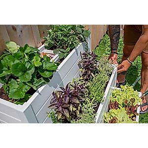 Vita Classic 33 inch x 33 inch Tiered Cascading Keyhole Garden with Composting Basket, White Vinyl, PVC, BPA and Pthalate Free, VT17109