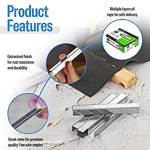 meite 20 Gauge 1/2-Inch (12.3mm) Crown 1/4-Inch Length Upholstery Staples for Staple Gun, Fine Wire Galvanized Staples for Carpet, Work Box, Cable, Shed (5,000 Pieces)
