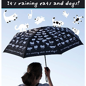 FLAT CATS & FLAT DOGS Travel Umbrella with Automatic Open & Close Function | Small, Foldable & Portable Compact Umbrella for Backpack | Windproof Umbrellas for Rain & UV Protection