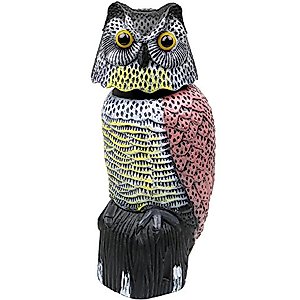 Galashield Owl Decoy to Scare Birds Away Scarecrow Fake Owl with Rotating Head