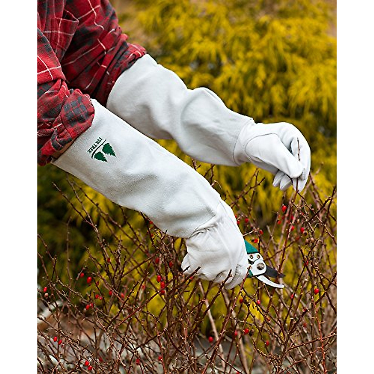 Leather Gardening Gloves by Fir Tree. Premium Goatskin Gloves With Cowhide Suede Gauntlet Sleeves. Perfect Rose Garden Gloves. Men's and Women's Sizes. M-8 (See Size Chart Photo)