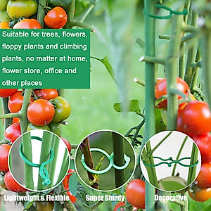Hysagtek 100 Pcs Plant Clips for Climbing Plants Garden Clips Plant Support Clips for Tomato Gardening Clips Vegetable Clips for Support for Securing Plants